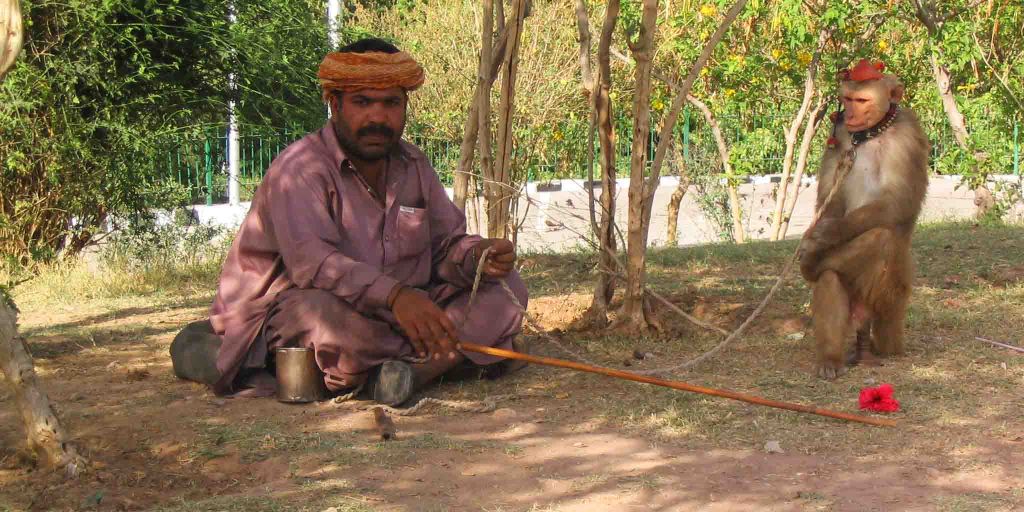 Everyone’s Visiting… Pakistan! – Andy Roams