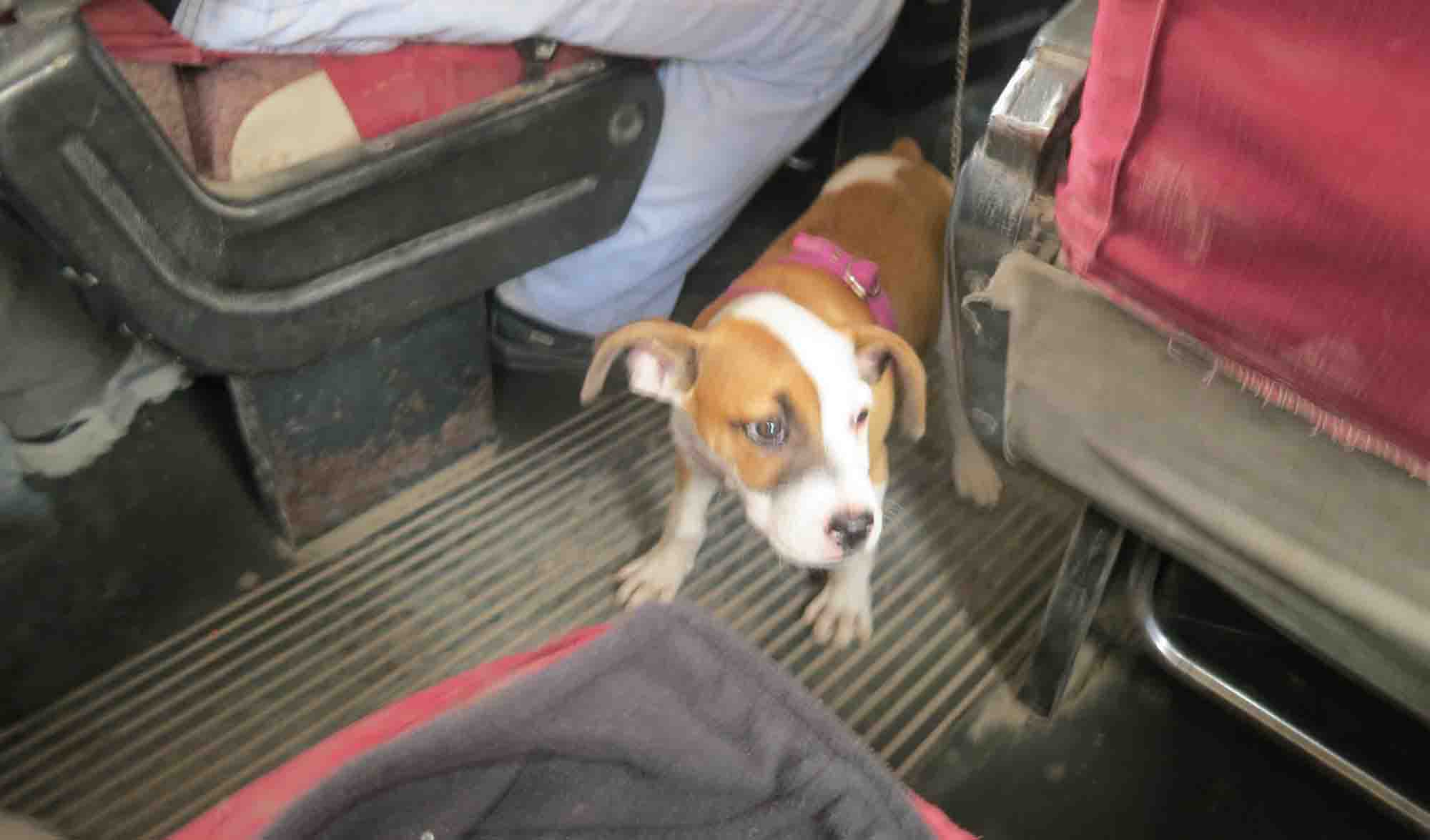 Essential Tips for Travel to Bolivia – Andy's World Journeys