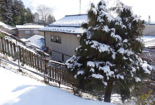 Snow – Through My Lens! – Andy's World Journeys