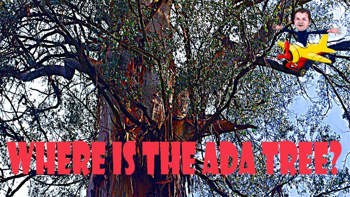 Lost in Gippsland – the Search for the Ada Tree – Andy's World Journeys