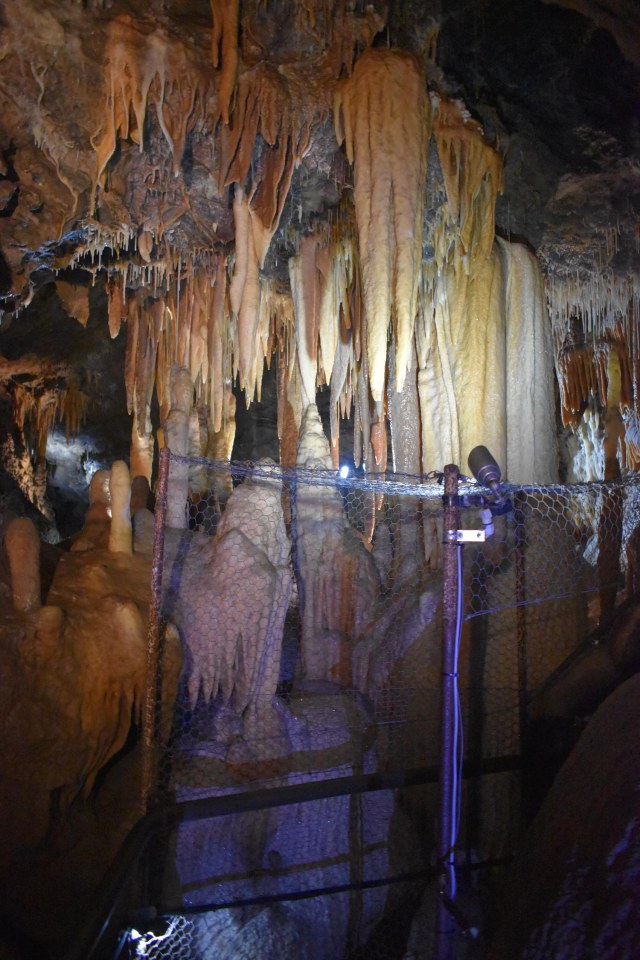 Exploring Victoria’s Buchan Caves – Andy's World Journeys