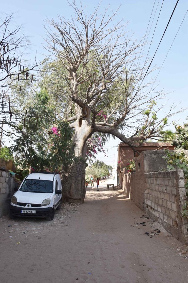 A View of Saly – Senegal Beaches, Boats and Relaxation! – Andy's World ...